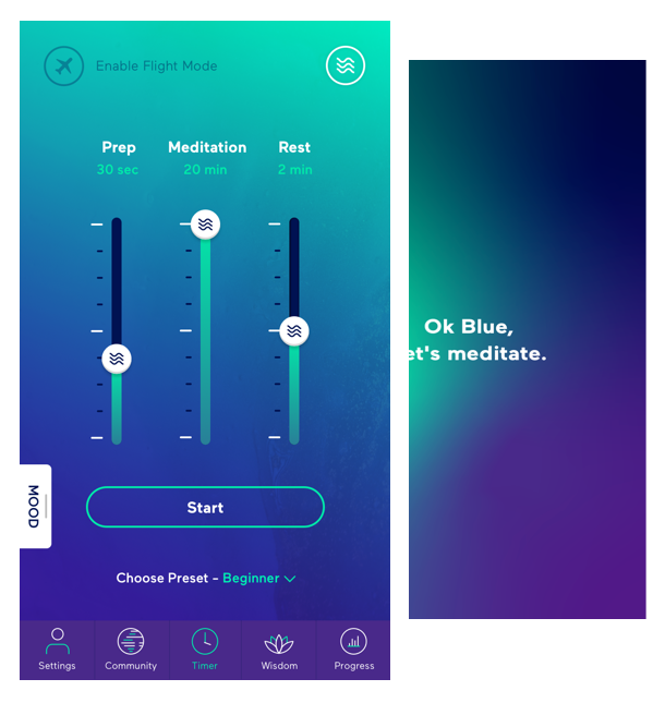 Beeja Meditation - Learn to Meditate with Will Williams